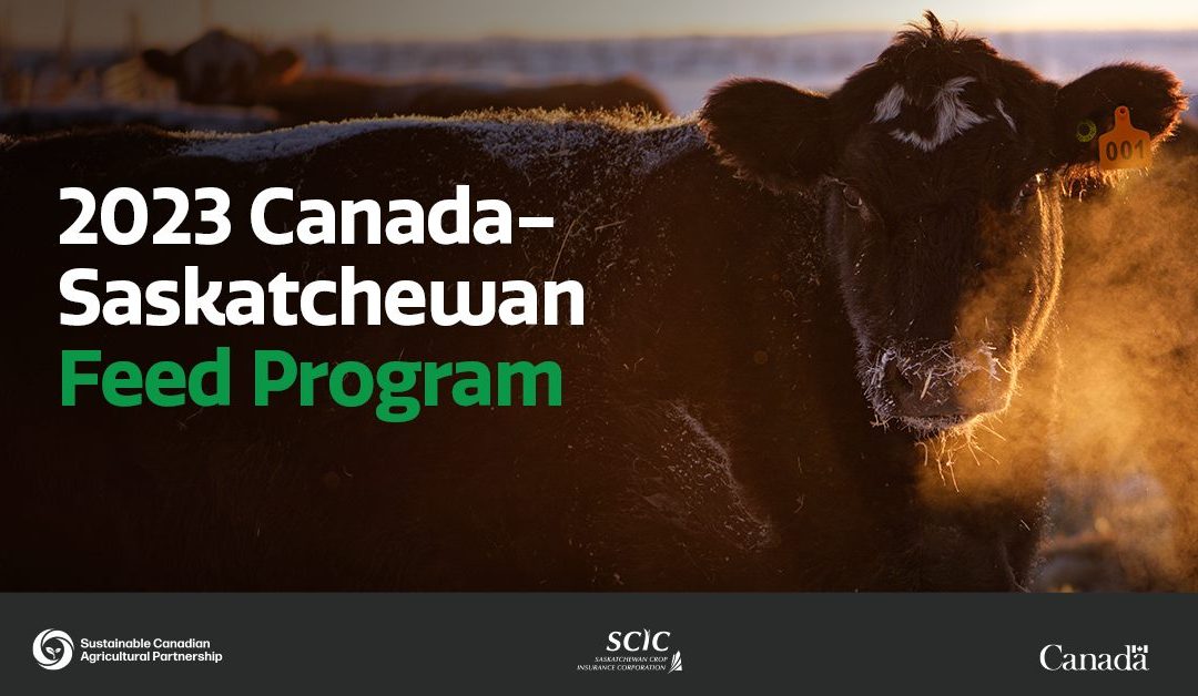 RM Baildon No. 131 - Saskatchewan